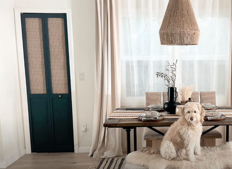 Step-by-Step Guide to Mesh Makeover of Bifold Closet Door - A House in ...