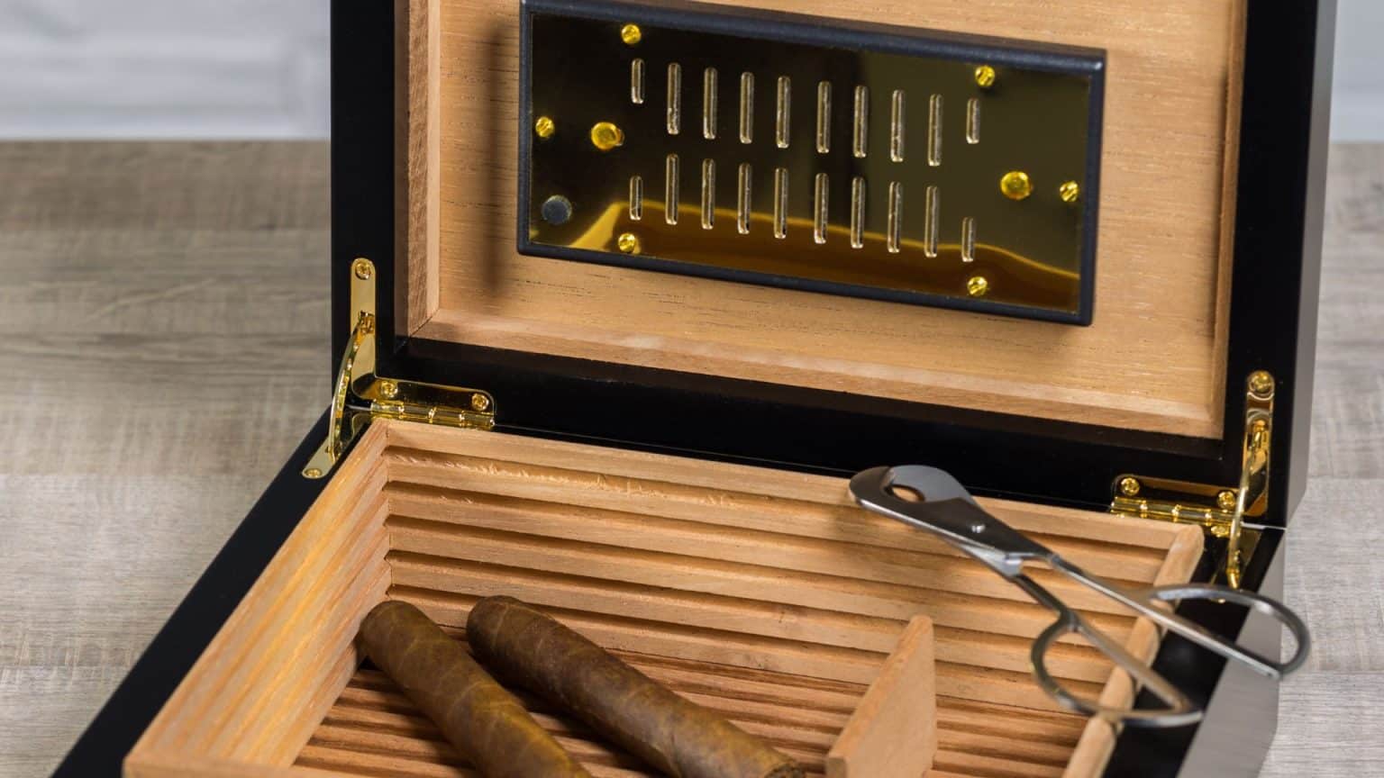 20 Stunning Modern Ranch Homes with Irresistible Curb Appeal - A House ...