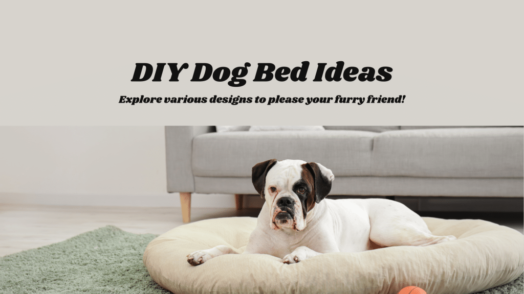 How to Make a DIY Dog Bed: Creative Ideas and Tips - A House in the Hills