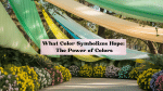 What Color Symbolizes Hope: The Power of Colors - A House in the Hills