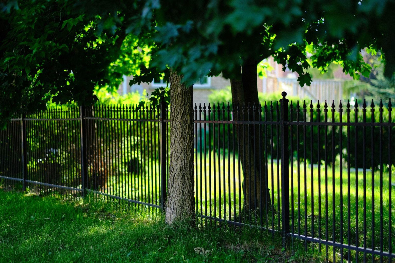 Homeowner's Guide: What Are the Most Durable Types of Fences for ...
