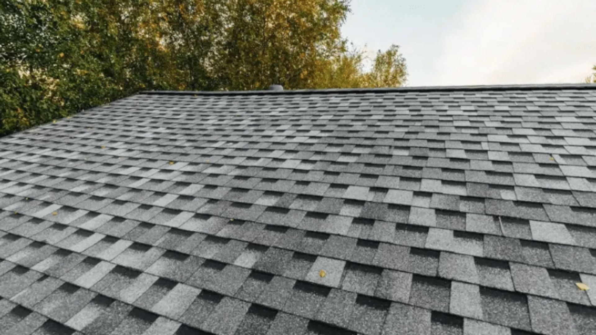 Top 22 Types of Roof Shingles: A Complete Guide - A House in the Hills