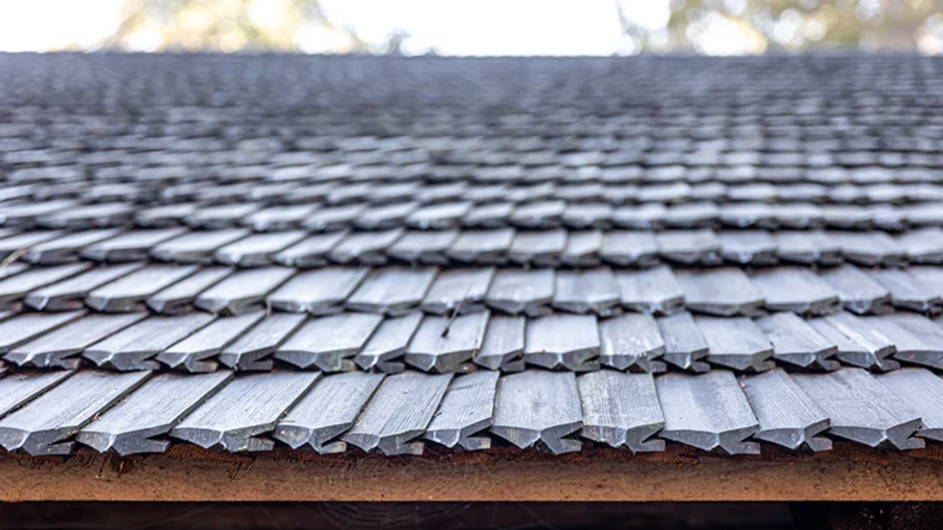 Top 22 Types of Roof Shingles: A Complete Guide - A House in the Hills